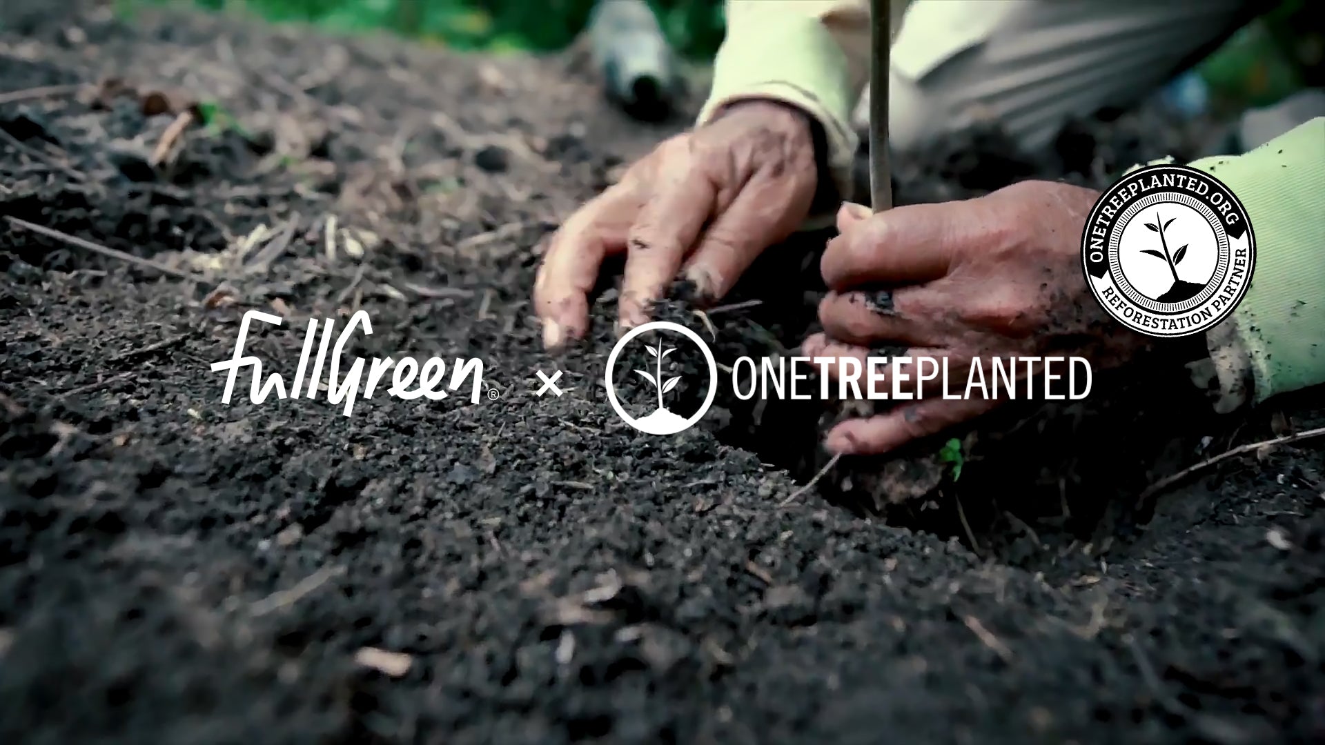 One Tree Planted – Fullgreen Inc